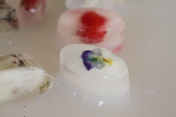 Floral ice cubes LiveBest