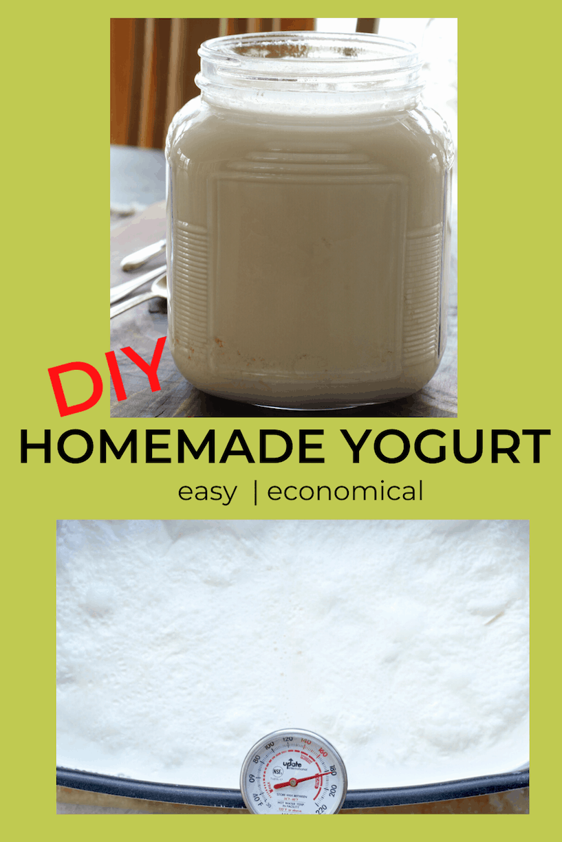 Step-by-step how to make homemade yogurt [crock pot] - LiveBest